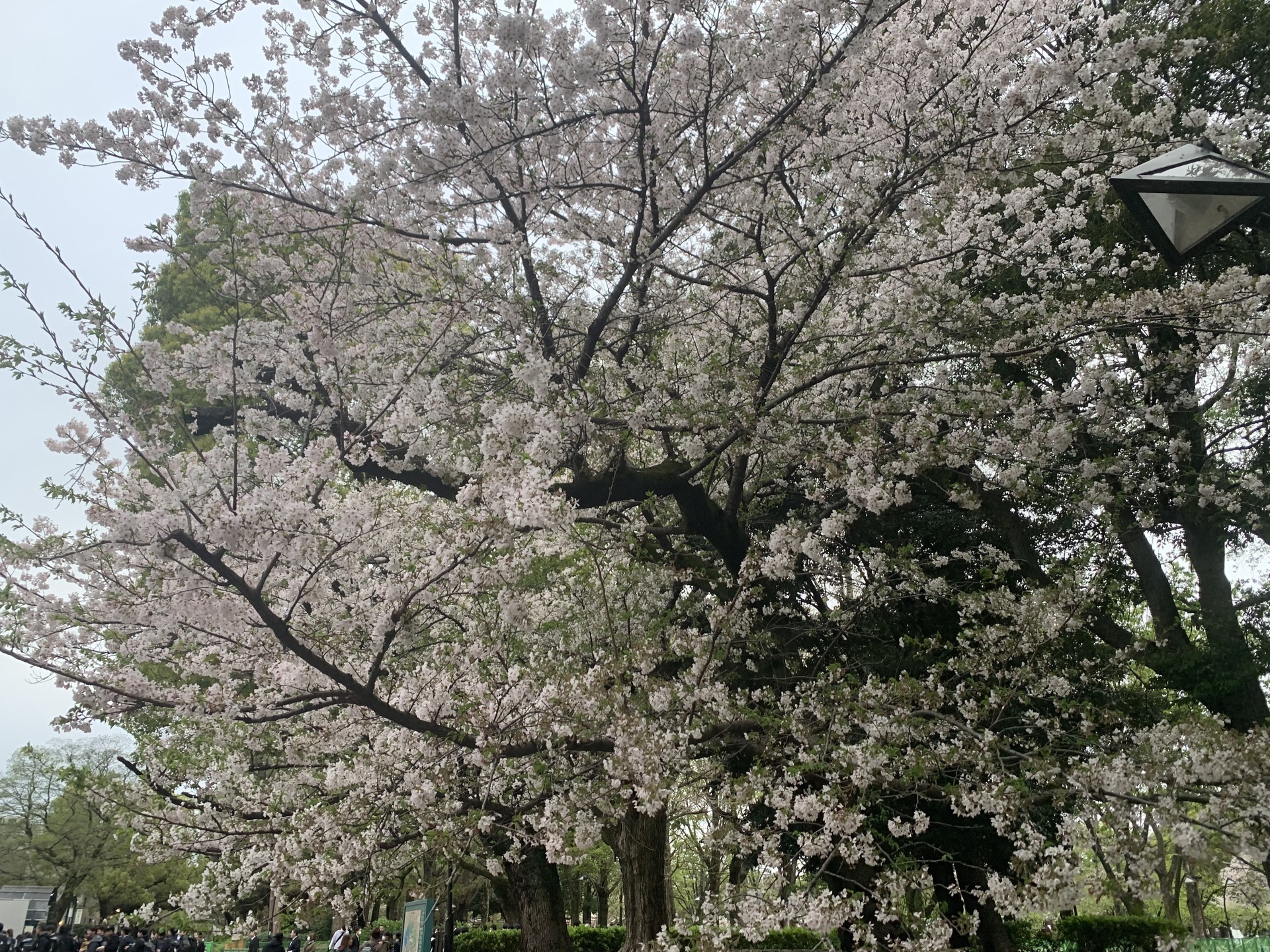 お礼: ギタリスト 鈴木大介のblog